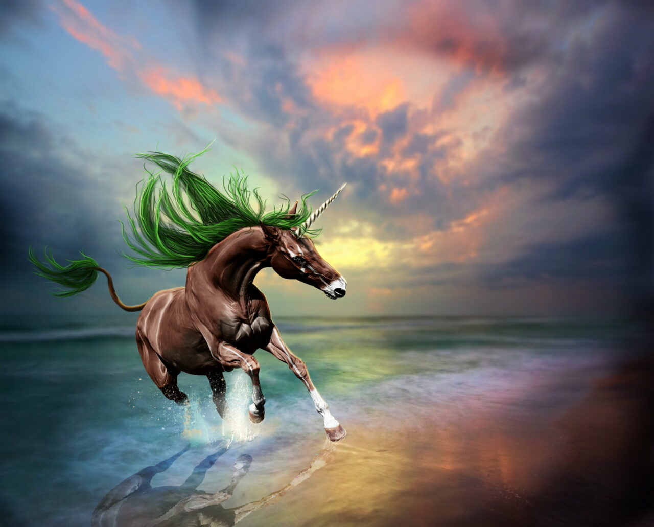 Sunset Unicorn Reflection in Sea - QHD Wallpaper | Background FREE ...