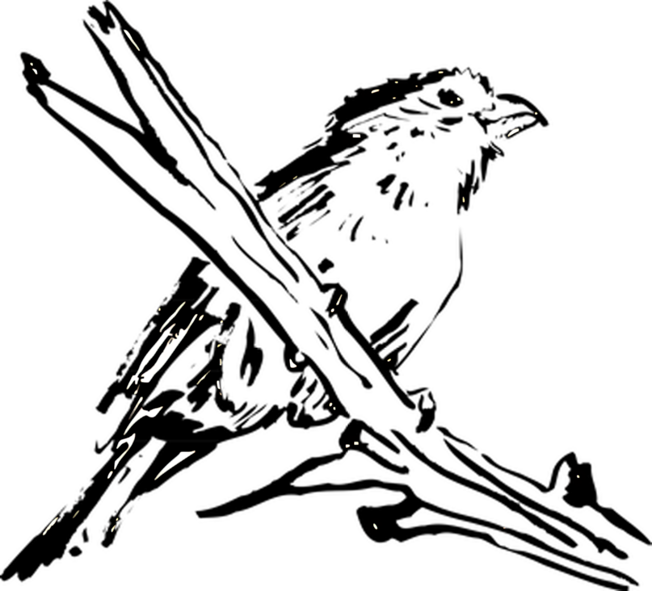 Dynamic Black and White Abstract Wallpaper | Background FREE Download ...