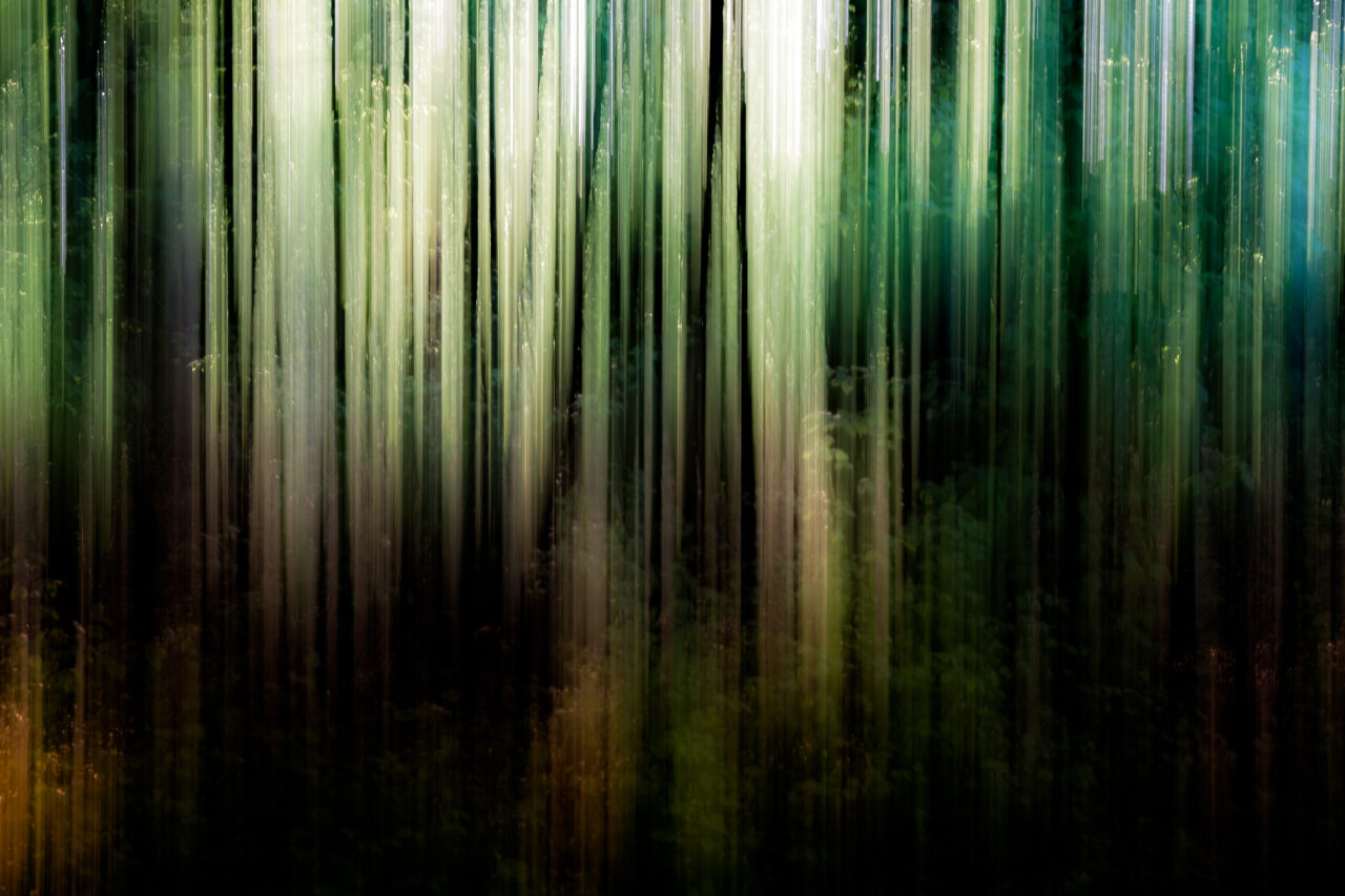 Spring Forest Abstract Colors Wallpaper | Background FREE Download ...