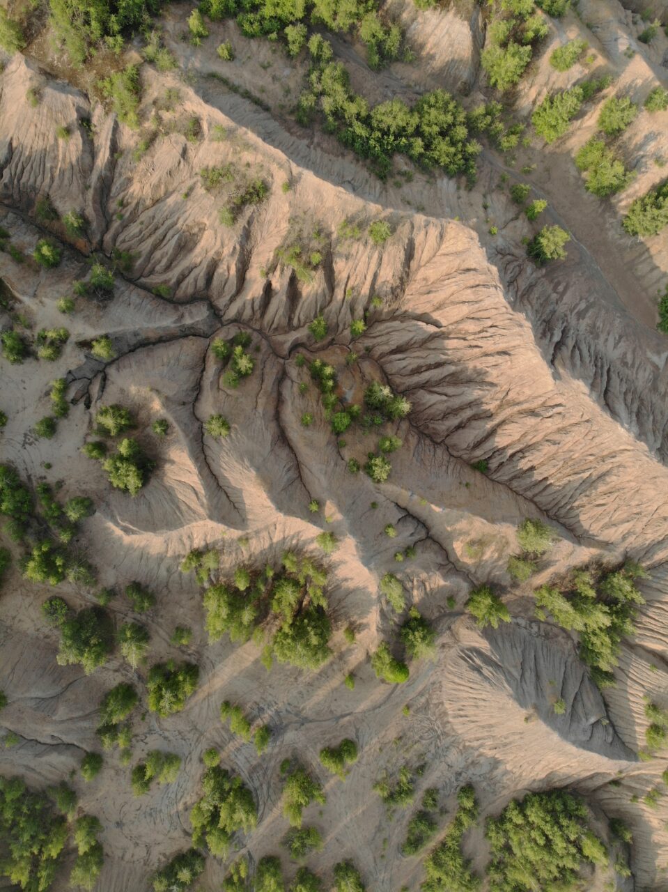 Rugged Mountain Terrain with Green Trees Aerial Wallpaper | Background ...