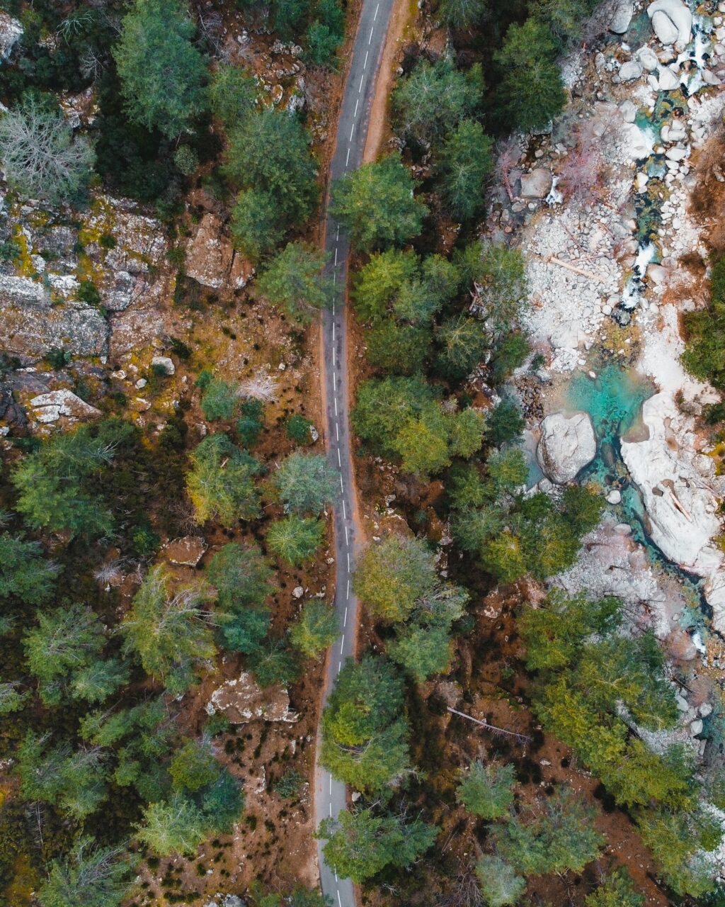Winding Forest Road and Turquoise Stream Natural Wallpaper | Background ...