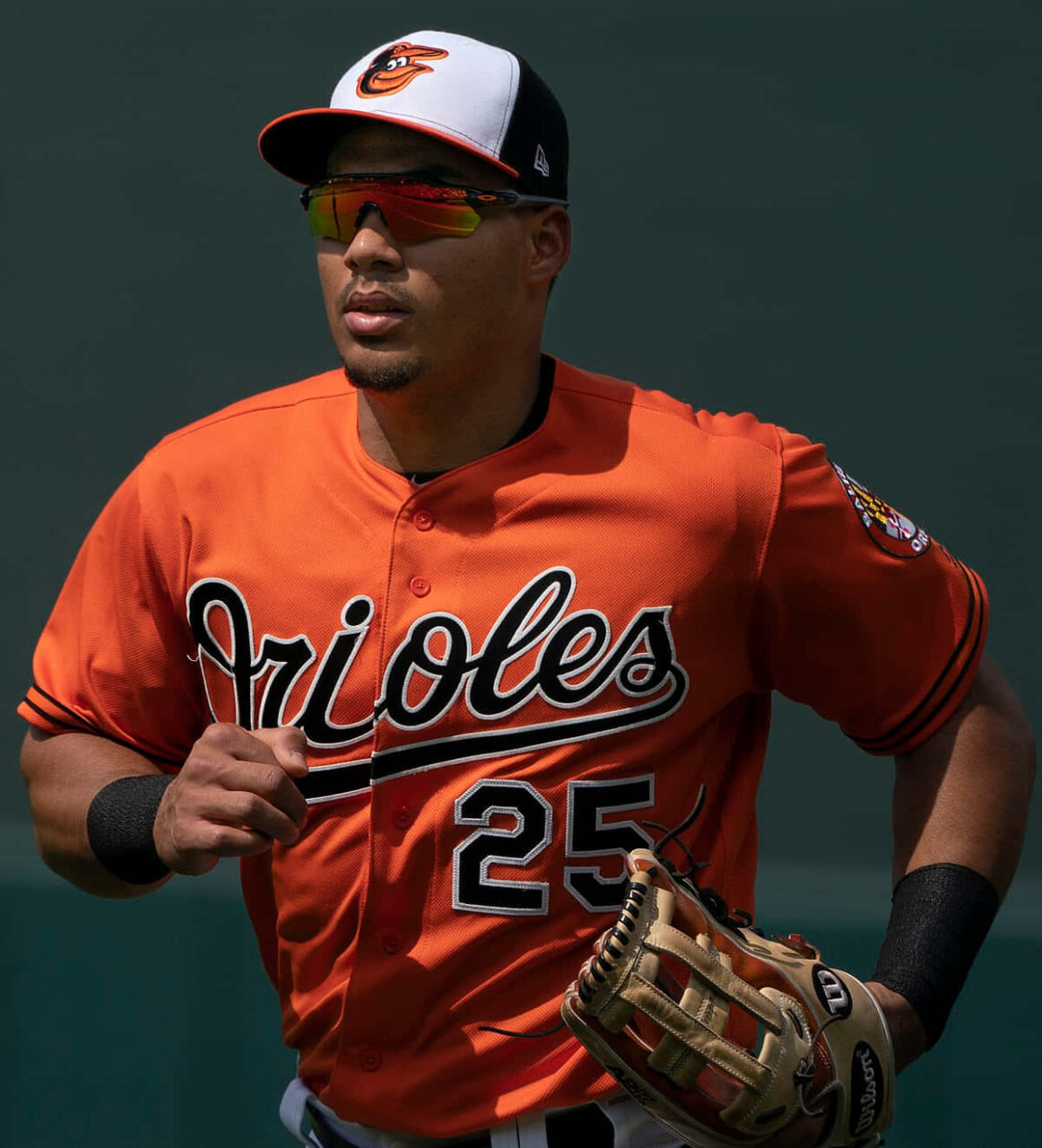 Anthony Santander Orioles Power and Energy Dynamic Wallpaper ...
