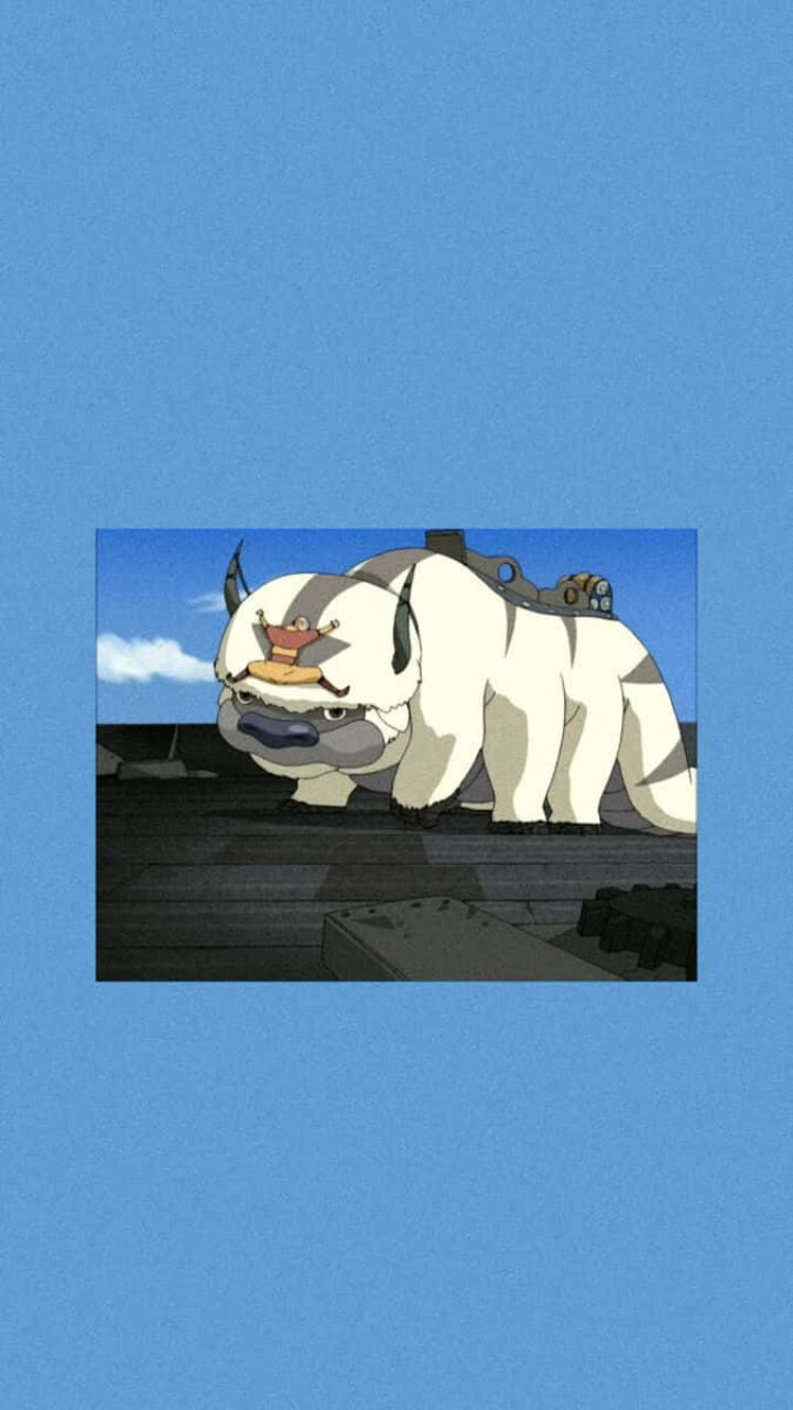 Appa and Aang Bond Flying Together Avatar Wallpaper | Background FREE ...