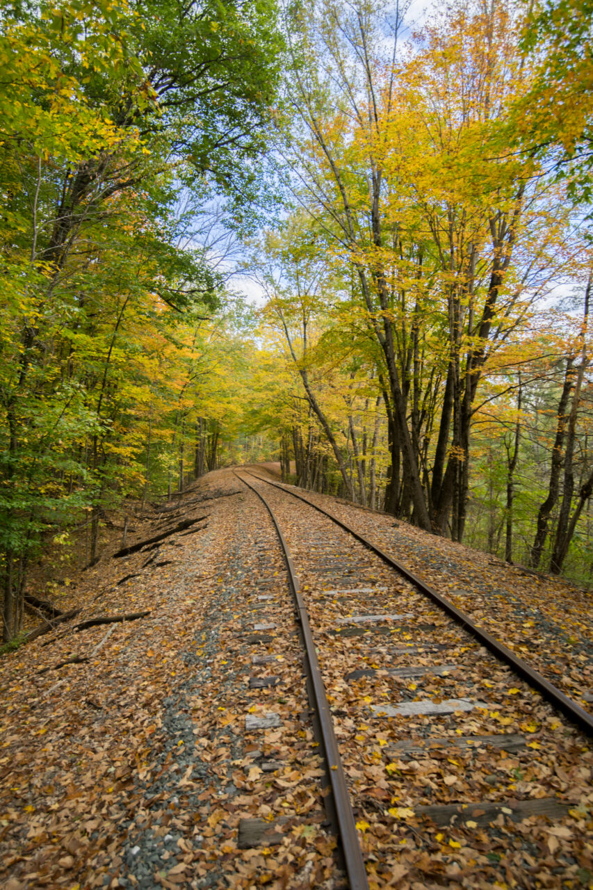 Autumn Forest Railroad Scenic Tranquil Nature Wallpaper | Background ...