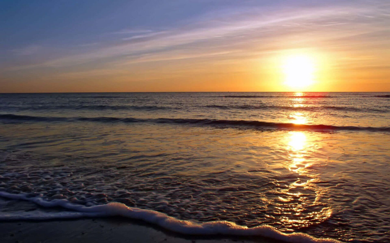 Golden Beach Sunset Wallpaper | Background FREE Download - Vulplex.com