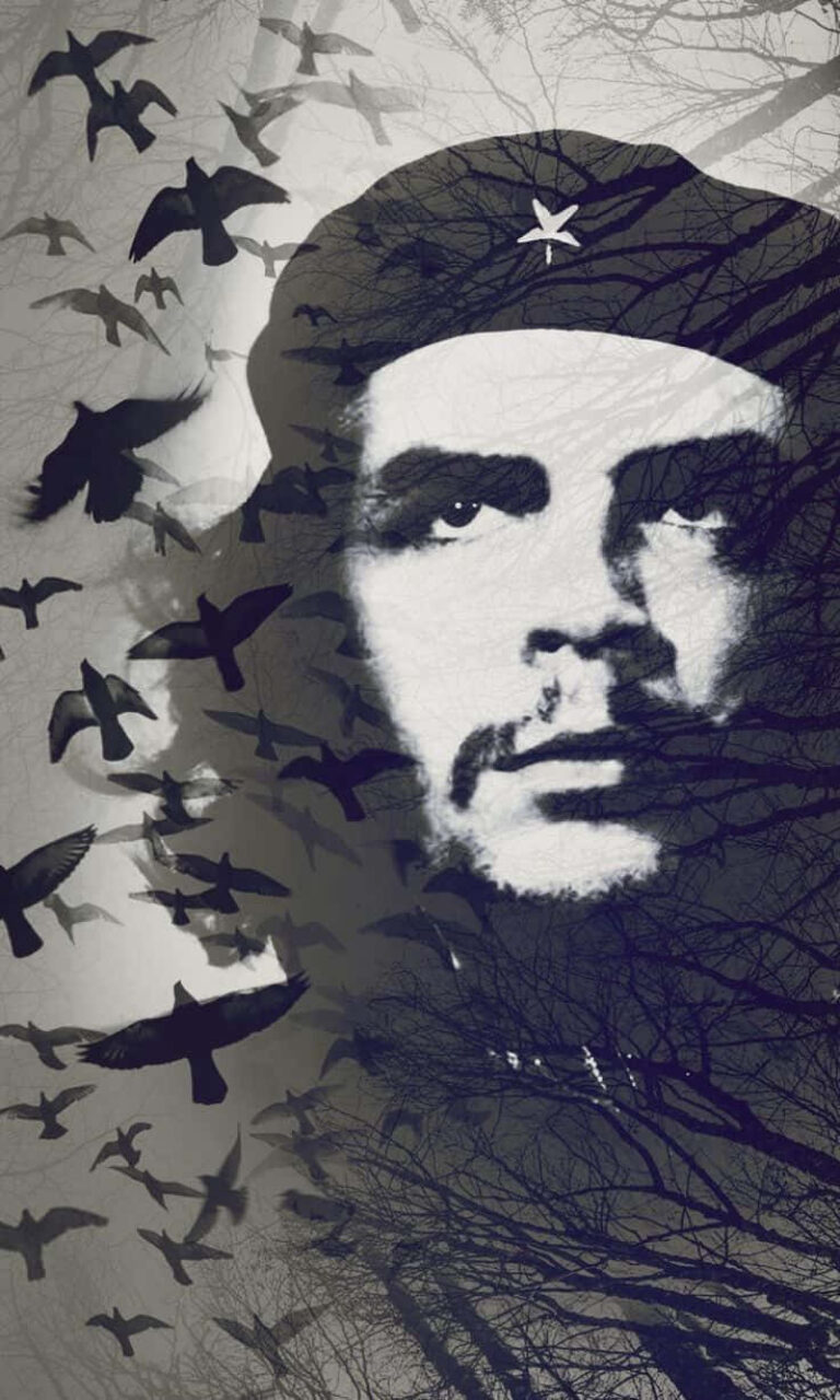 Che Guevara Silhouettes and Birds Symbolic Wallpaper | Background FREE ...