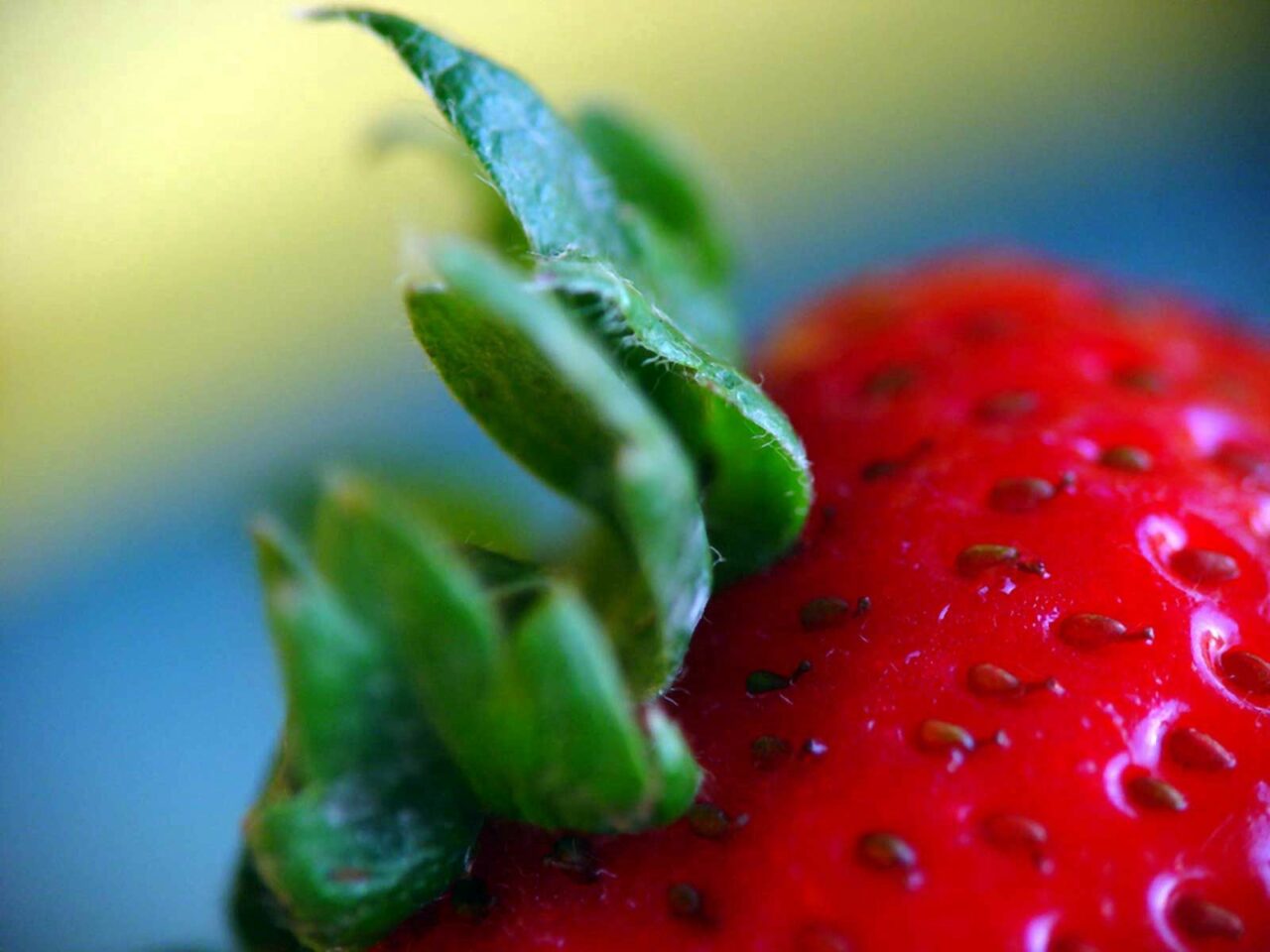 Luscious Red Strawberry Wallpaper | Background FREE Download - Vulplex.com