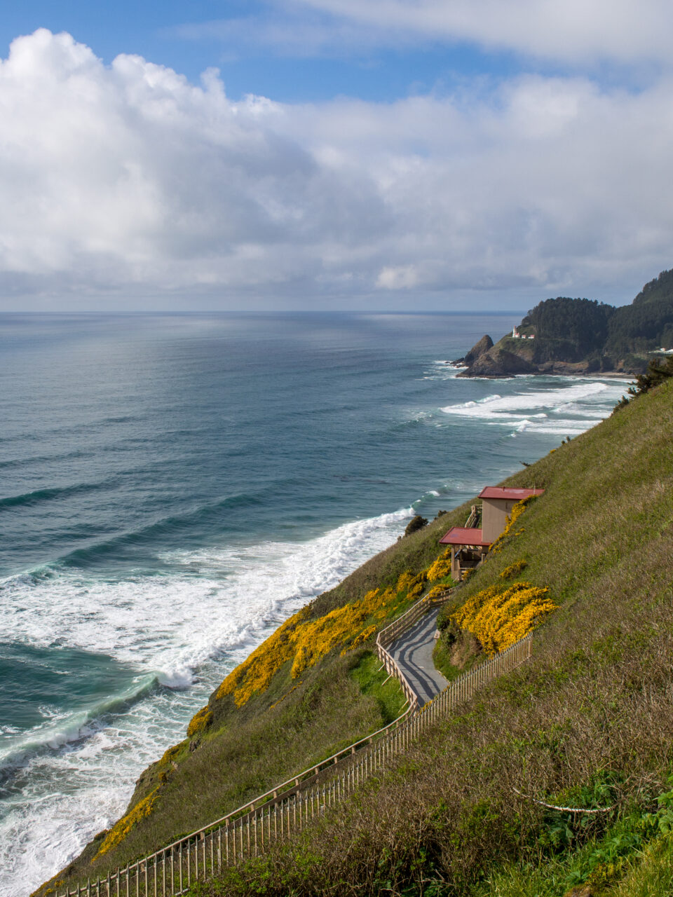 Coastal Hillside with Yellow Flowers Scenic Wallpaper | Background FREE ...