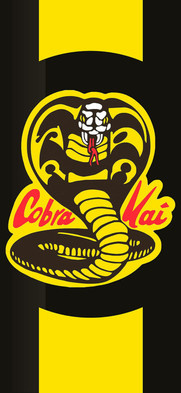 Cobra Kai Strength in Bold Colors Wallpaper | Background FREE Download ...