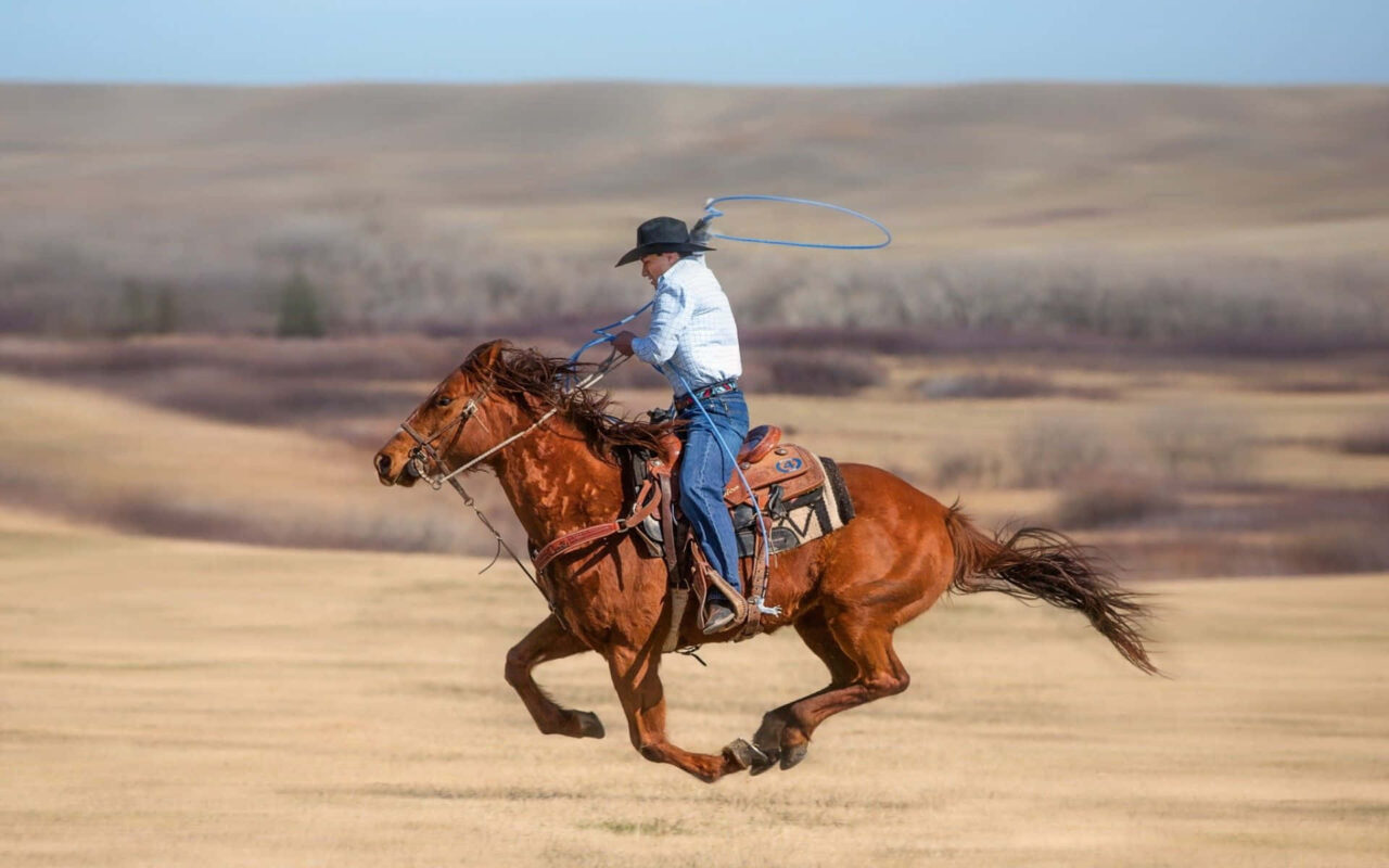 Wild West Cowboy Riding at Sunset Adventure Wallpaper | Background FREE ...