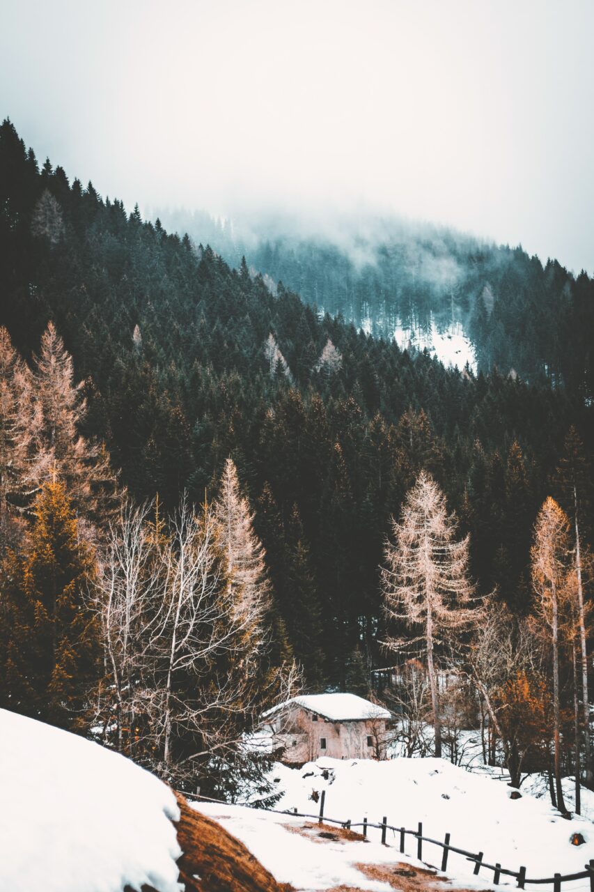 Cozy Snowy Forest Cabin Winter Mountain Wallpaper | Background FREE ...