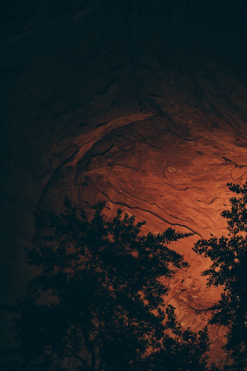 Moody Earthy Cave Wall with Tree Silhouettes Wallpaper | Background ...