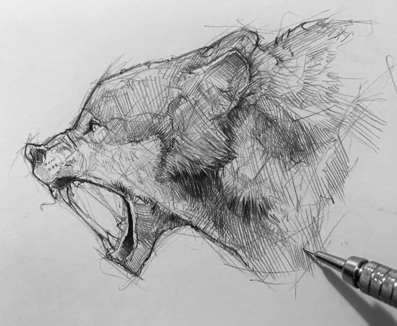 Fierce Wolf Sketch Art Wallpaper | Background FREE Download - Vulplex.com