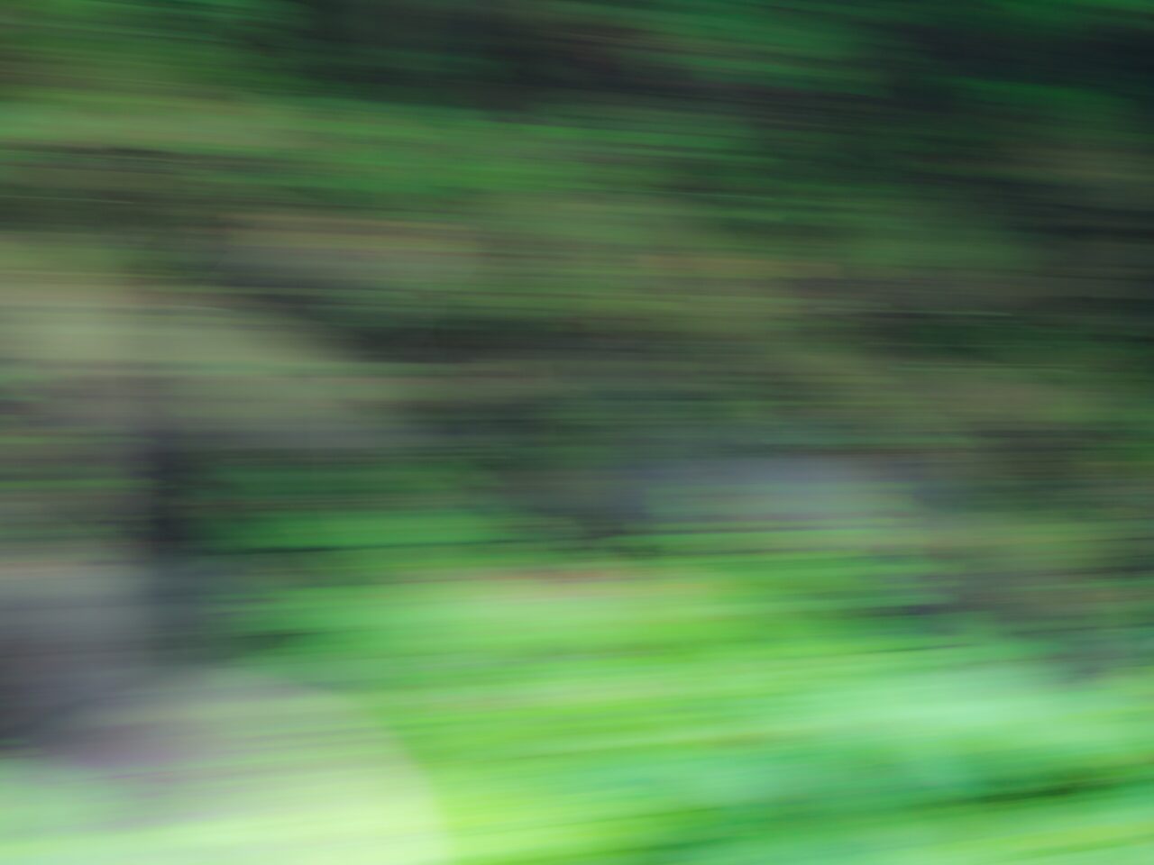 Dynamic Green Motion Abstract Wallpaper | Background FREE Download ...