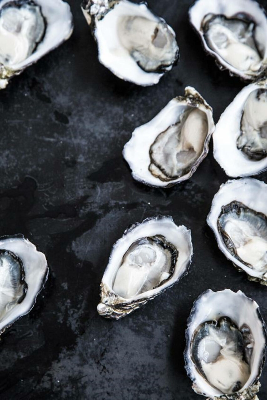 Elegant Oyster View with Dark Texture Wallpaper | Background FREE ...