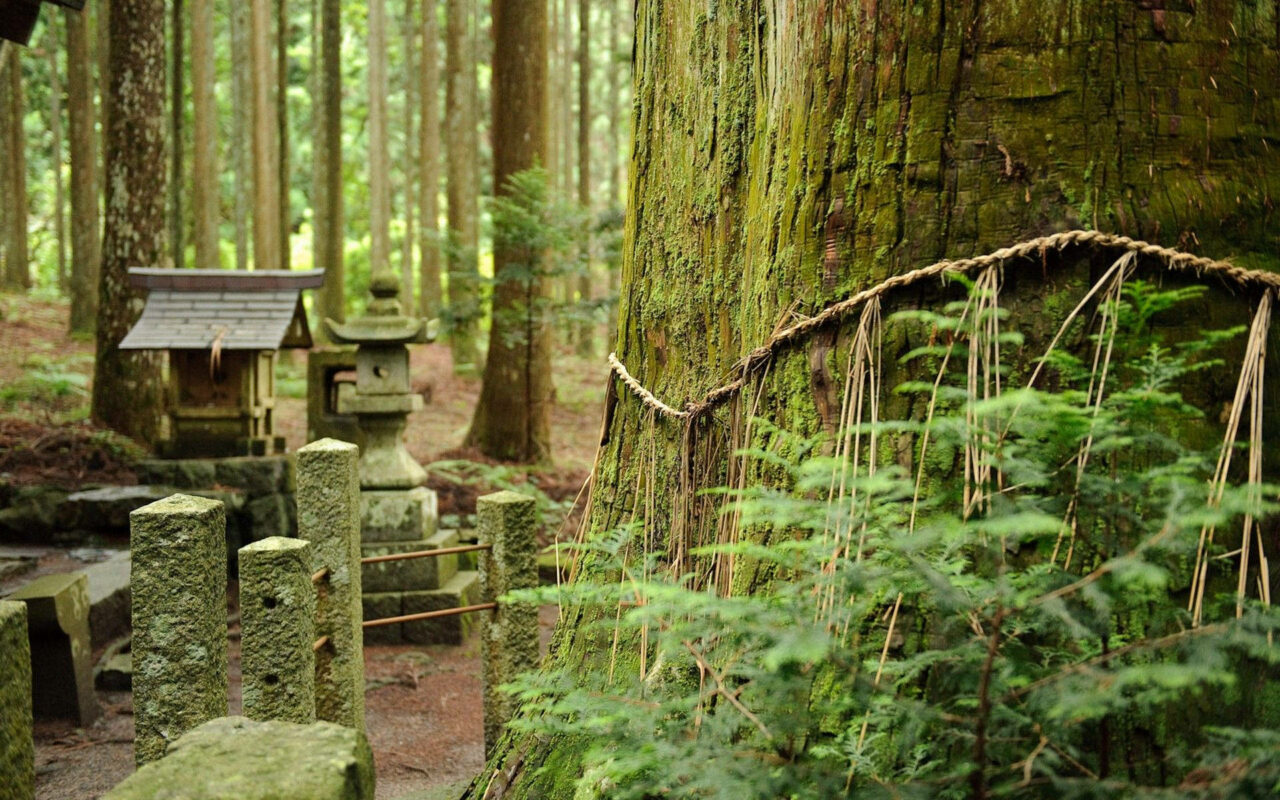Mystical Japanese Forest Shrine Wallpaper | Background FREE Download ...