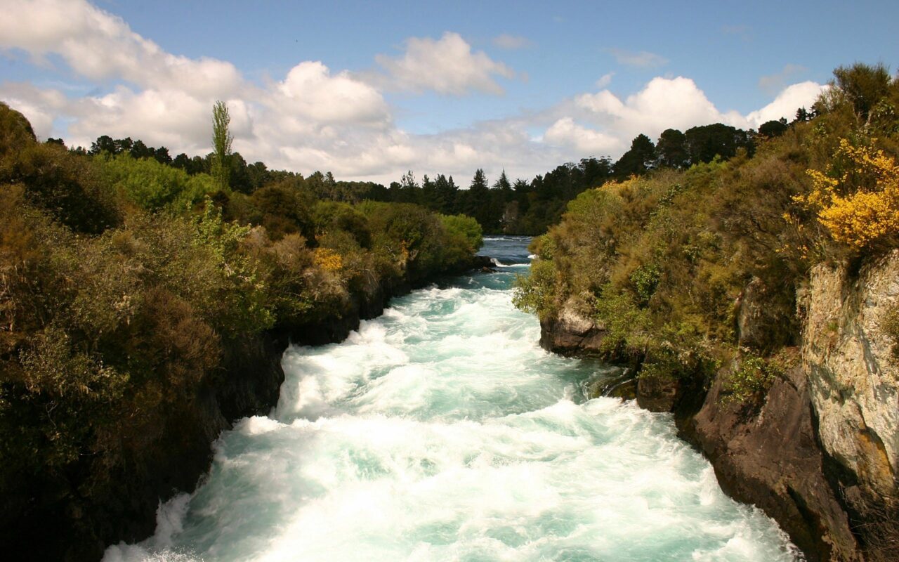 Vibrant River Rapids Through Lush Forest Nature Wallpaper | Background ...