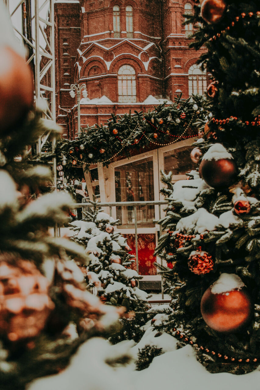 Festive Winter Scene with Christmas Trees Wallpaper | Background FREE ...