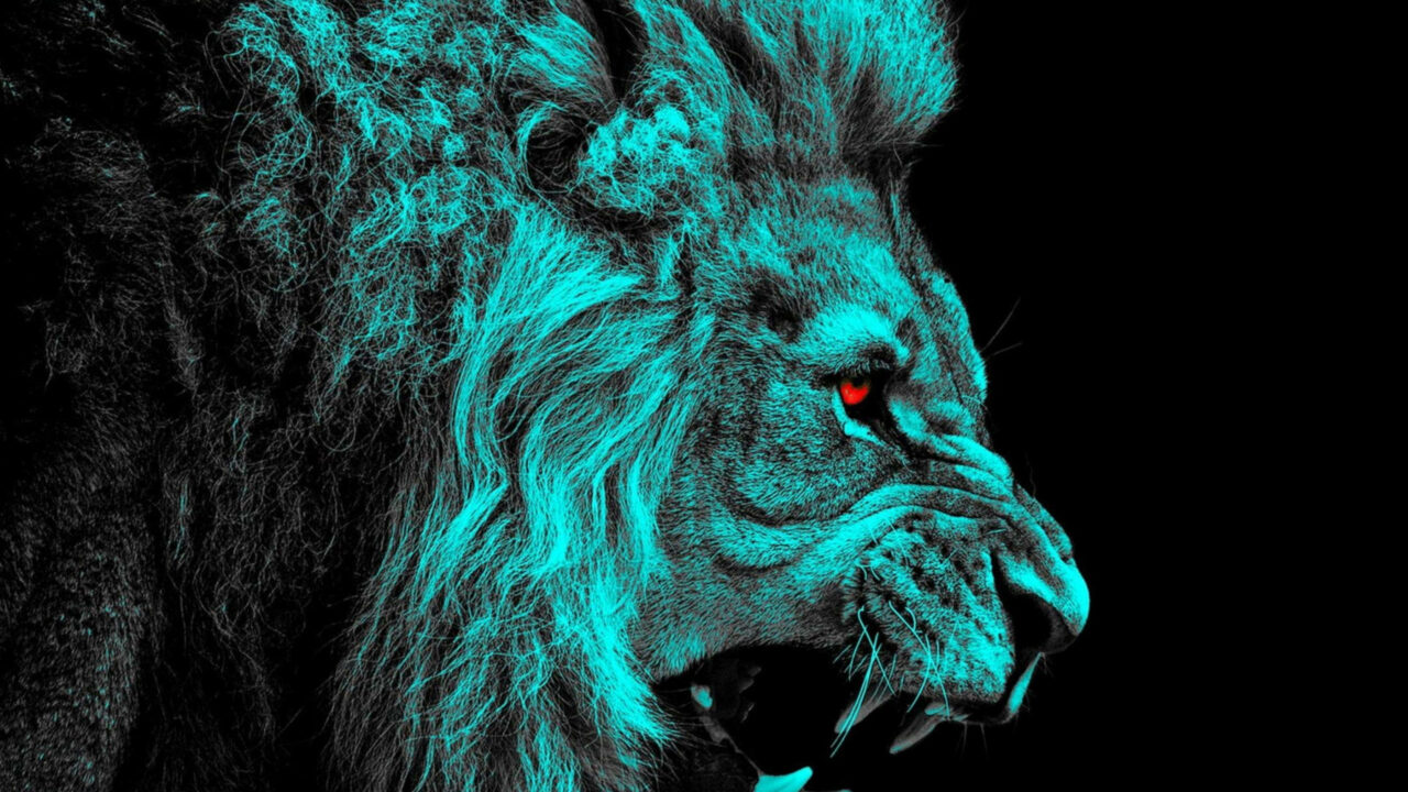 Fierce Lion Glow Wallpaper | Background FREE Download - Vulplex.com