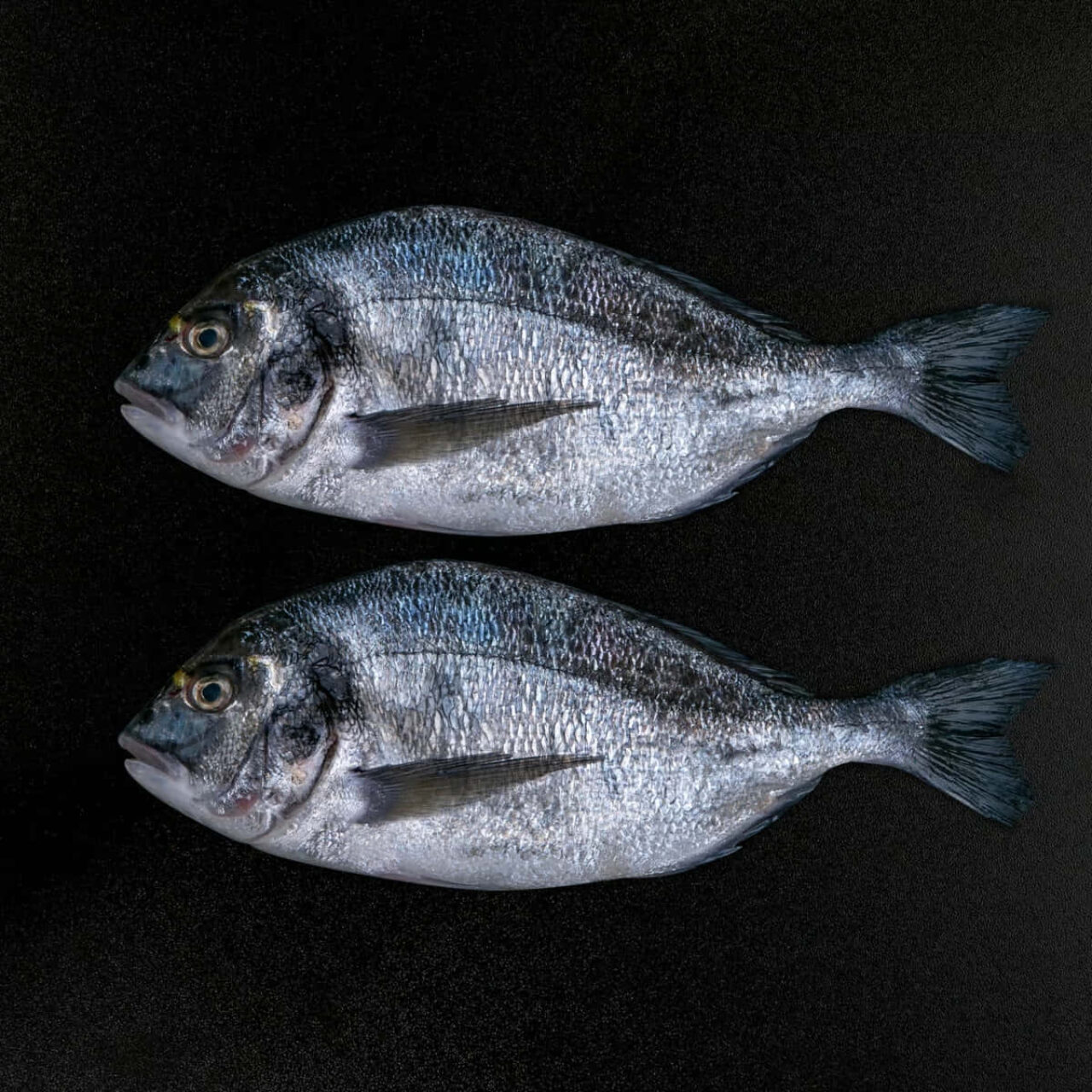 Fresh Bream Fish Silvery Scales Minimalist Seafood Wallpaper ...