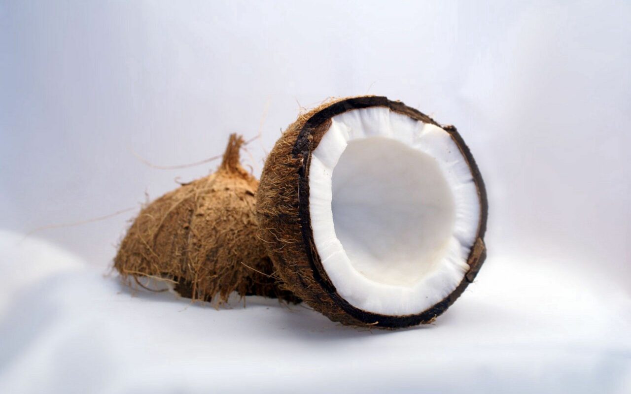 Coconut Delight Textures Wallpaper | Background FREE Download - Vulplex.com