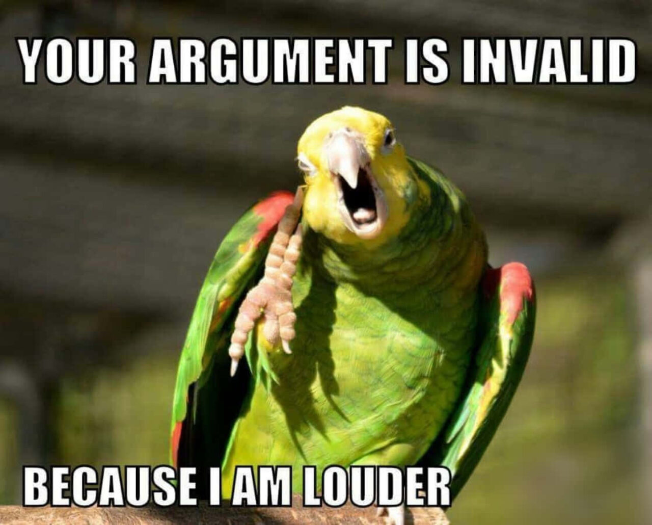 Loud Parrot Meme Wallpaper | Background FREE Download - Vulplex.com