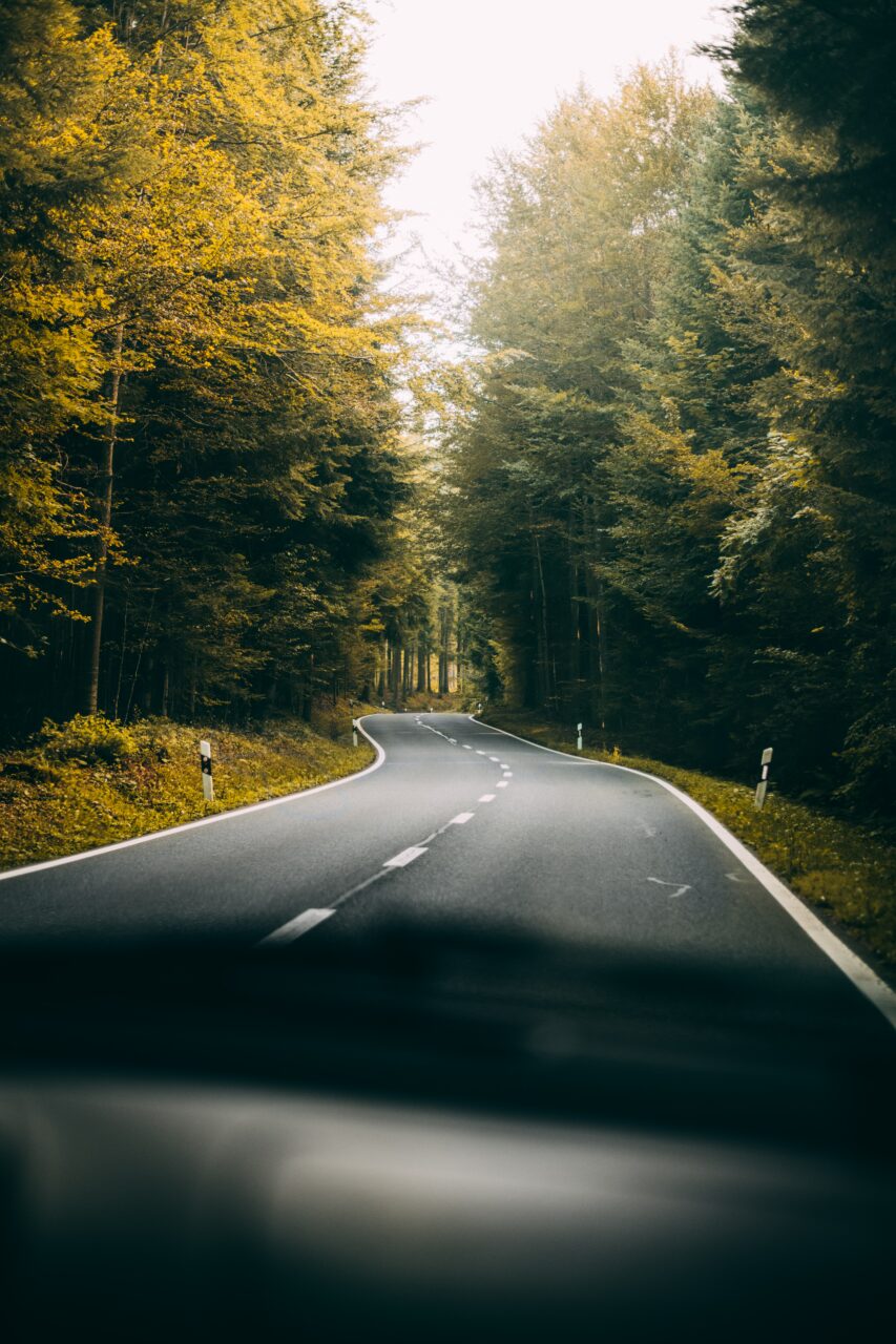 Golden Autumn Forest Road Scenic Travel Wallpaper | Background FREE ...