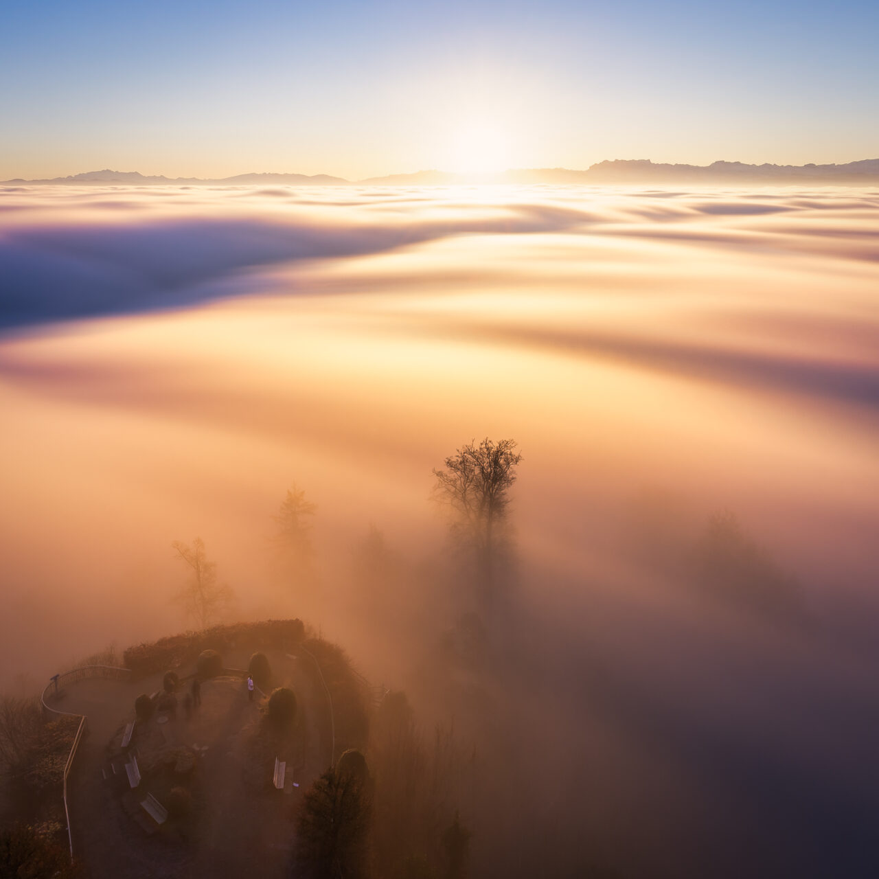Ethereal Dawn Light Over Misty Trees Wallpaper | Background FREE ...