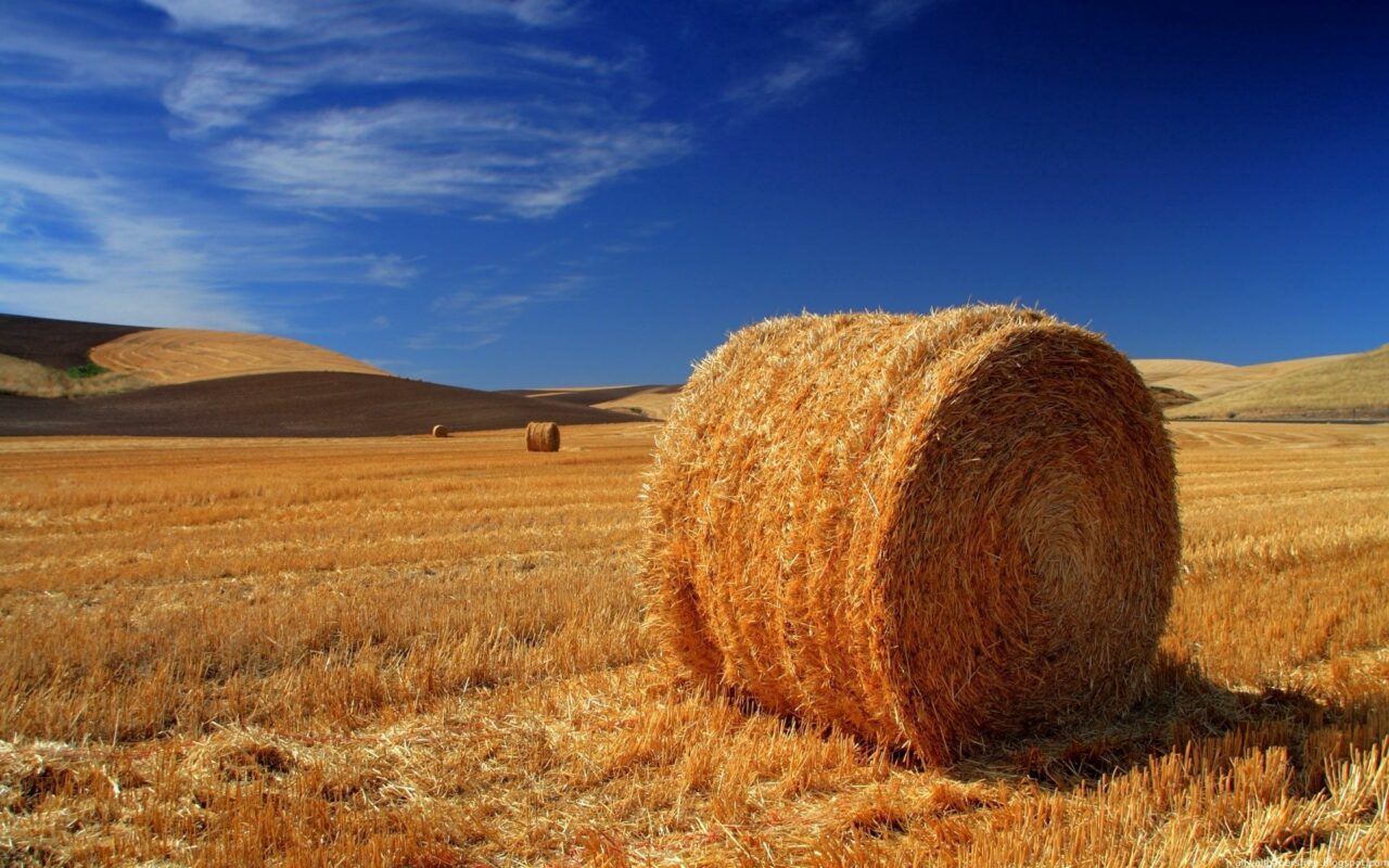 Golden Hay Bale in Rural Field Under Blue Sky Wallpaper | Background ...