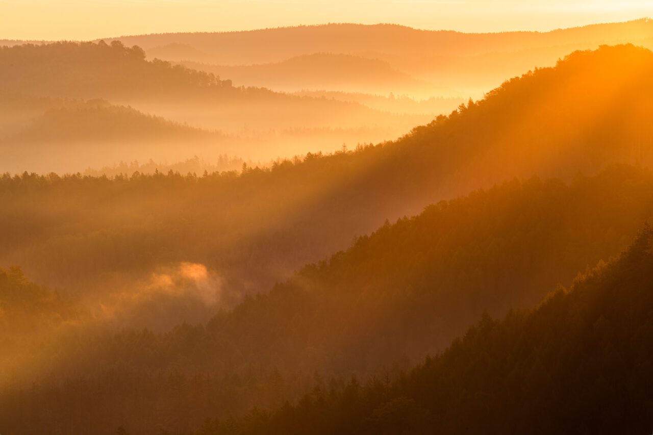 Golden Twilight Forest Hills Tranquil Nature Wallpaper | Background ...