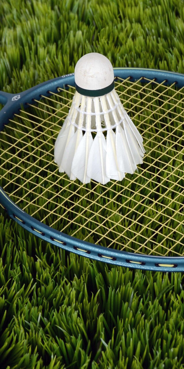 Vibrant Badminton Setup on Grassy Field Wallpaper | Background FREE ...