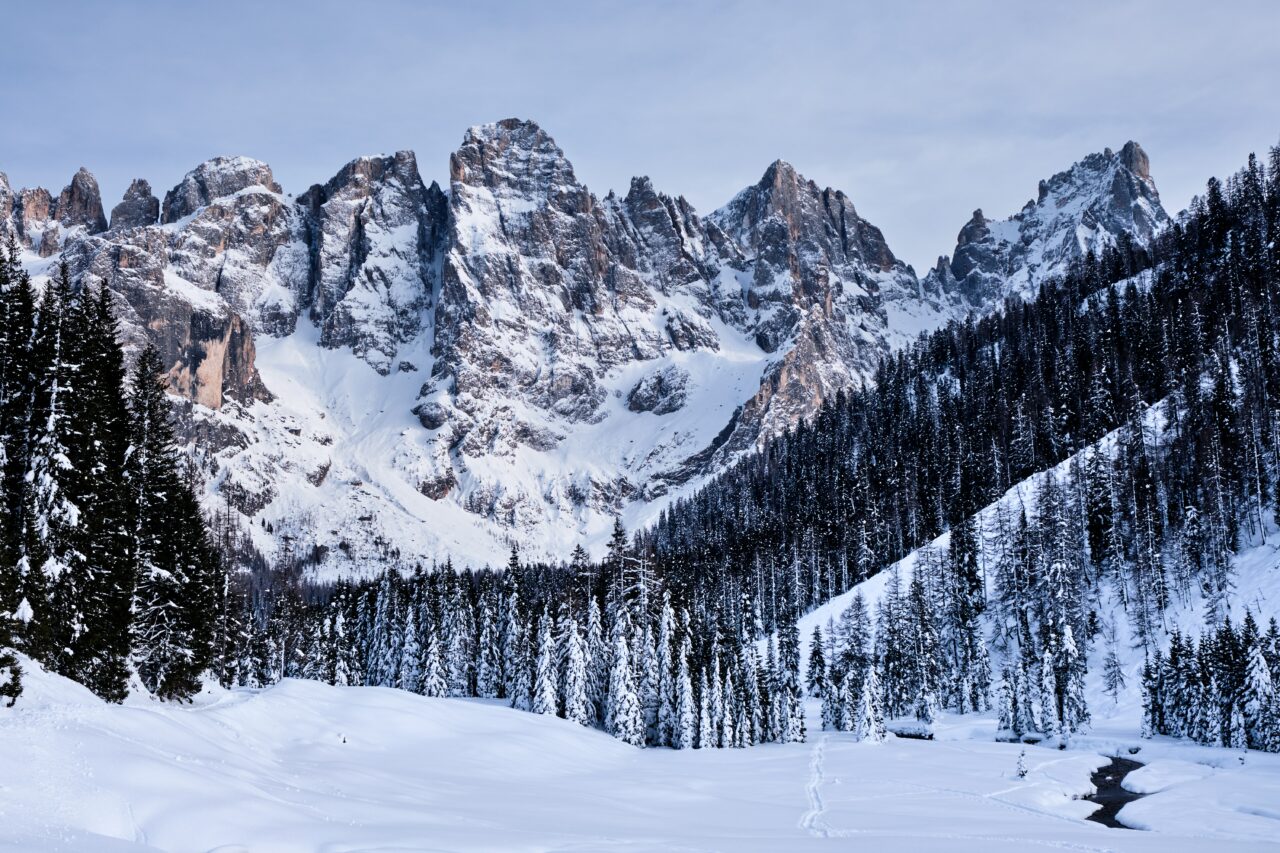 Italian Winter Mountains and Evergreen Forest Wallpaper | Background ...