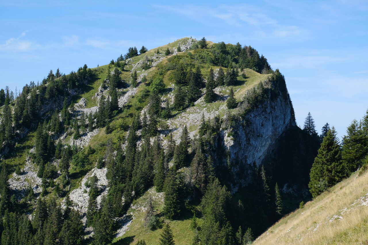 Lush Mountain Slope with Blue Sky Nature Wallpaper | Background FREE ...