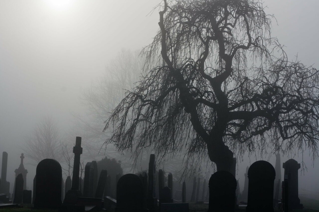 Eerie Graveyard Shadows Wallpaper | Background FREE Download - Vulplex.com
