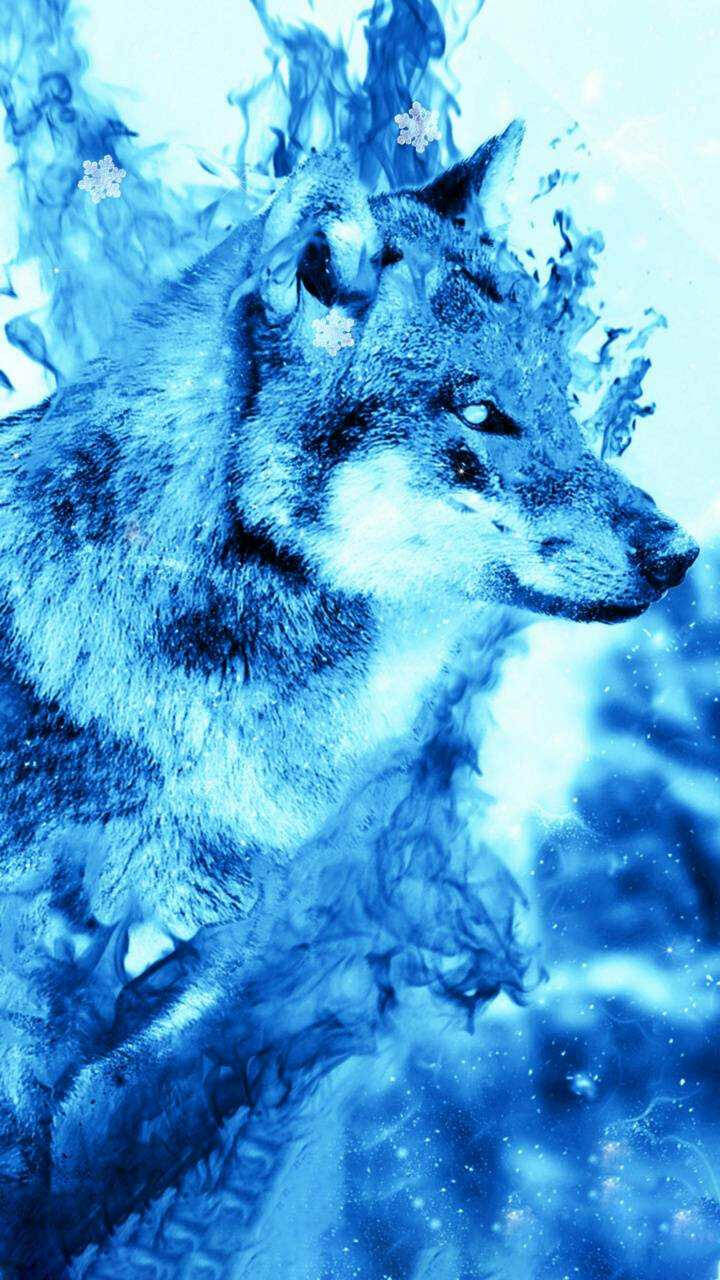 Mystical Blue Wolf Art Wallpaper | Background FREE Download - Vulplex.com