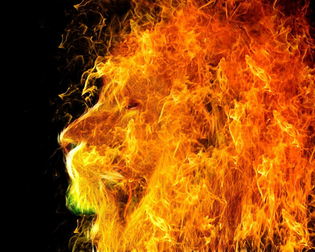 Fiery Lion Power Wallpaper | Background FREE Download - Vulplex.com