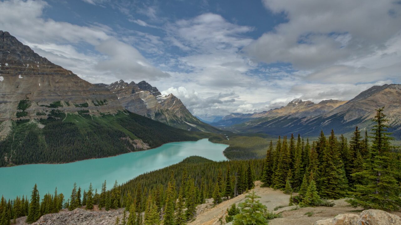 Turquoise River Mountain Valley Scenic Spruce Trees Wallpaper ...