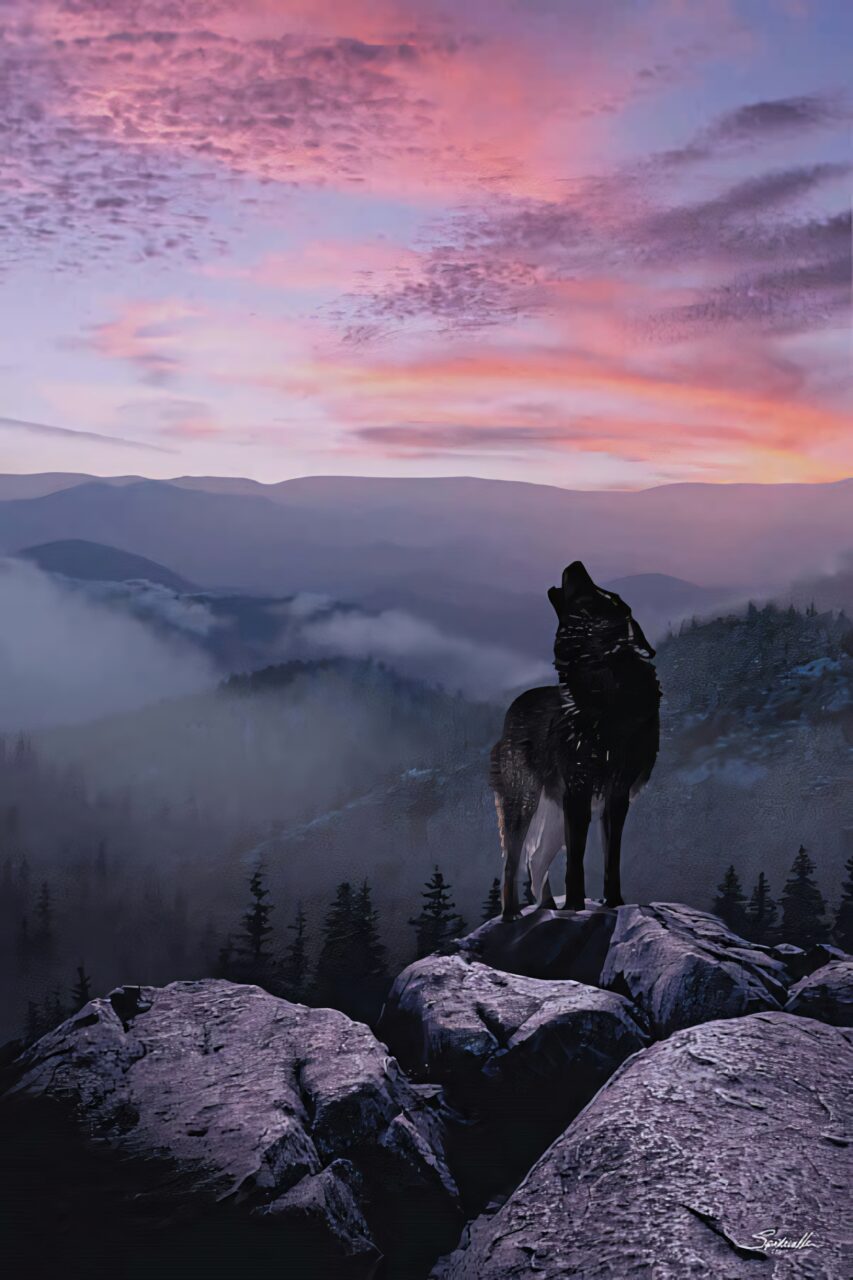 Majestic Wolf Howling at Sunset Wallpaper | Background FREE Download ...