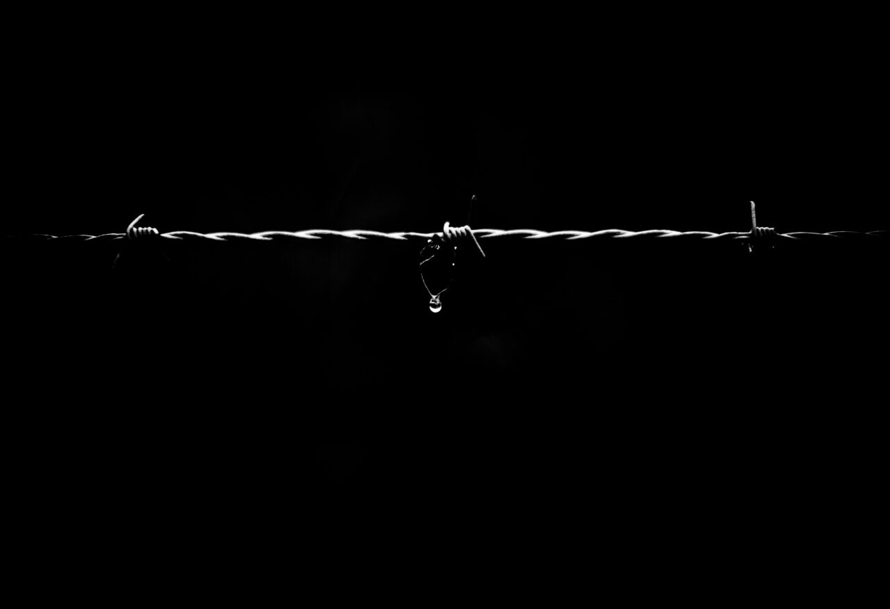 Beautiful Barbed Wire Water Droplet Wallpaper | Background FREE ...