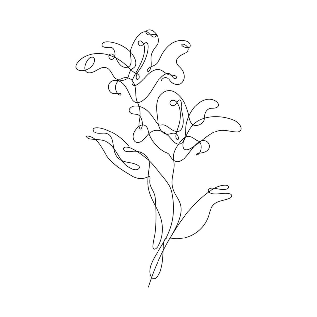 Elegant Flower Line Art Wallpaper | Background FREE Download - Vulplex.com