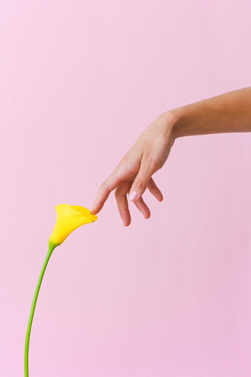 Yellow Bell Flower Hand Art Wallpaper | Background FREE Download ...