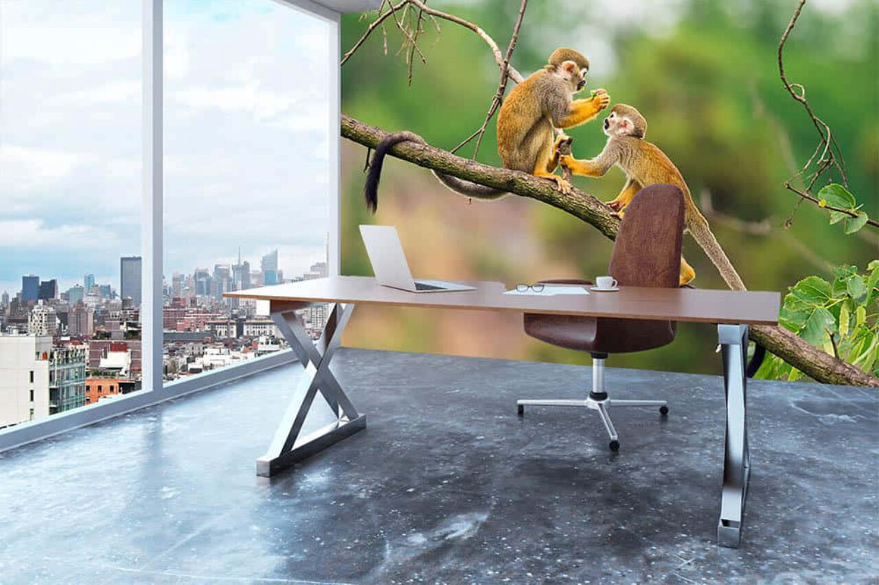 Vibrant City Office with Monkey Mural Wallpaper | Background FREE ...