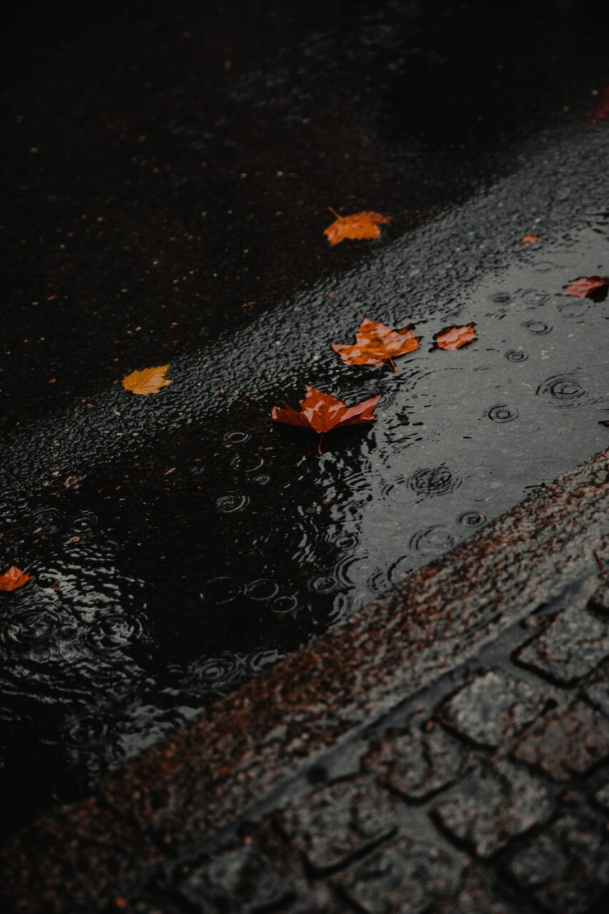 Moody Autumn Rainy Urban Scene Wallpaper | Background FREE Download ...