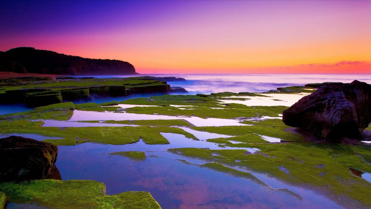 Mossy Stone Coastal Shore at Sunset Wallpaper | Background FREE ...