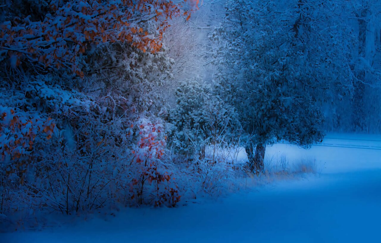 Serene Snowfall Embrace Nature Wallpaper | Background FREE Download ...