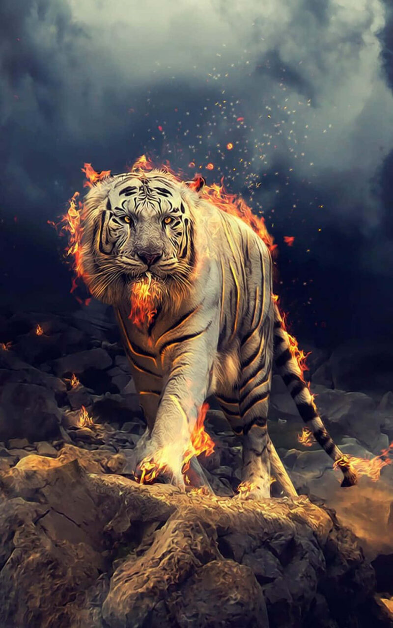 Fierce Tiger Emblem of Strength Wallpaper | Background FREE Download ...
