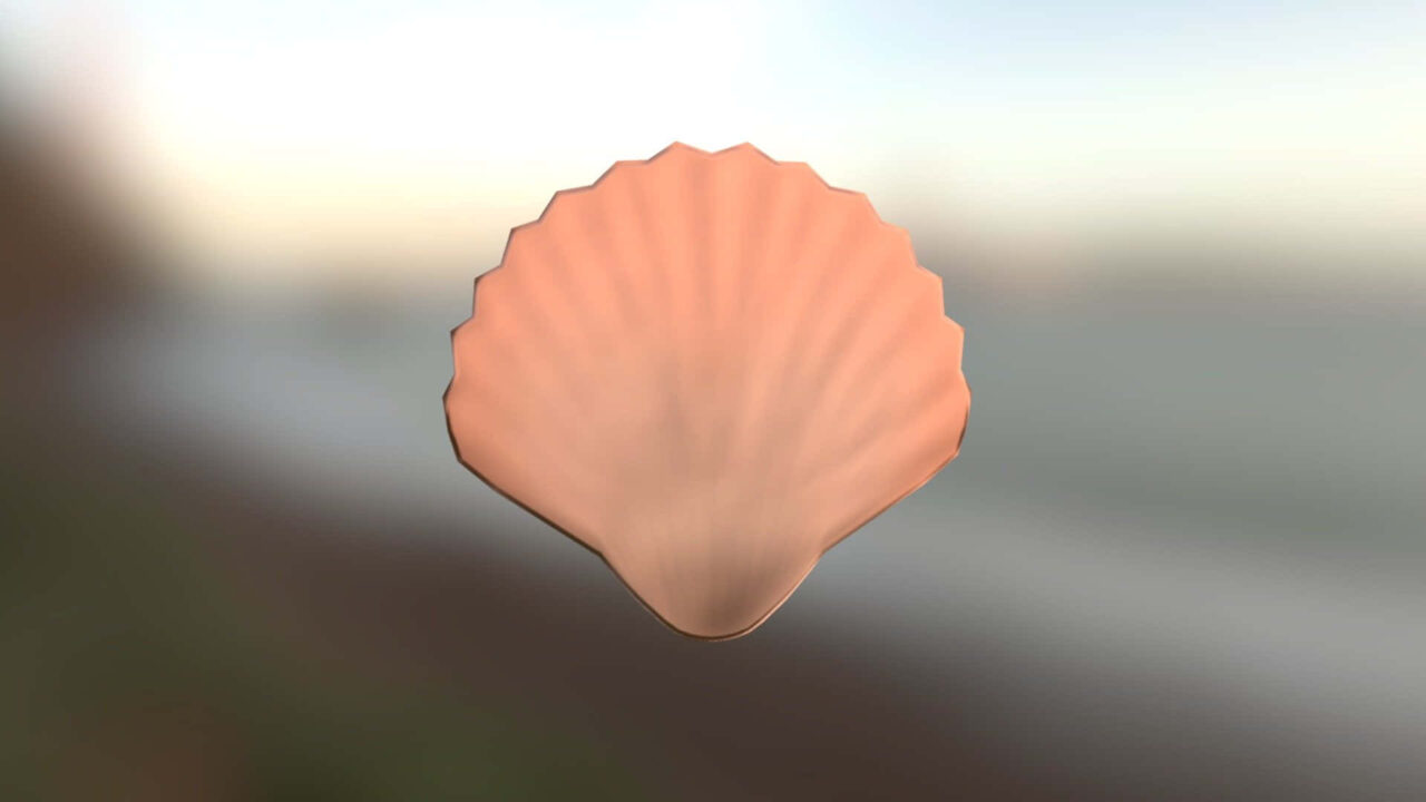 Peach Clam Shell on Coastal Blur Natural Beauty Wallpaper | Background ...