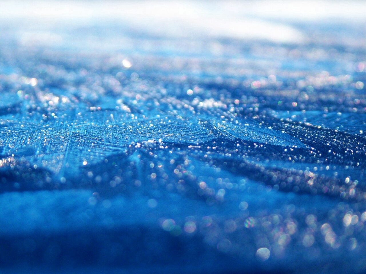 Serene Blue Dew Drops Close-up Wallpaper | Background FREE Download ...