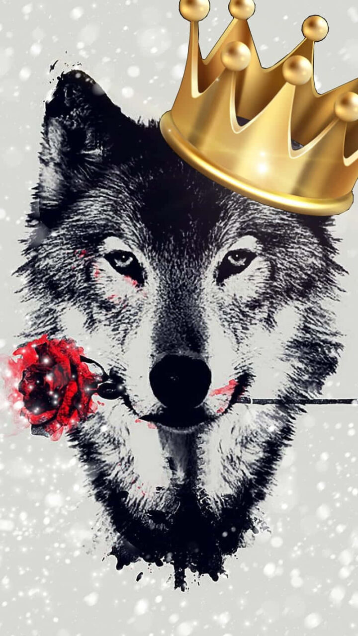 Royal Wolf with Rose Wallpaper | Background FREE Download - Vulplex.com