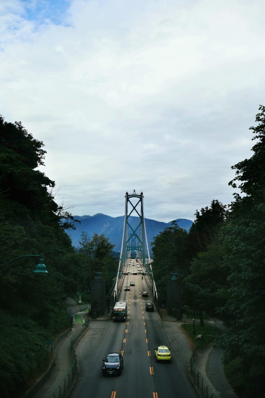 Serene Bridge Amidst Lush Greenery Wallpaper | Background FREE Download ...